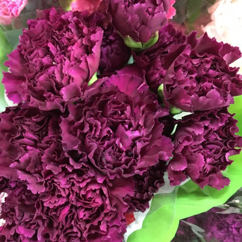 Snittblommor-arkiv - Sida 11 av 18 - Tomtebo Blomimport